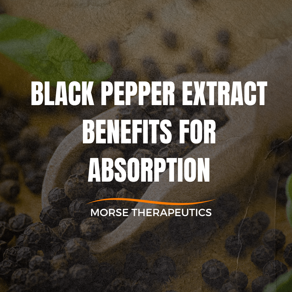 Black Pepper Extract Benefits for Absorption | Morse Therapeutics